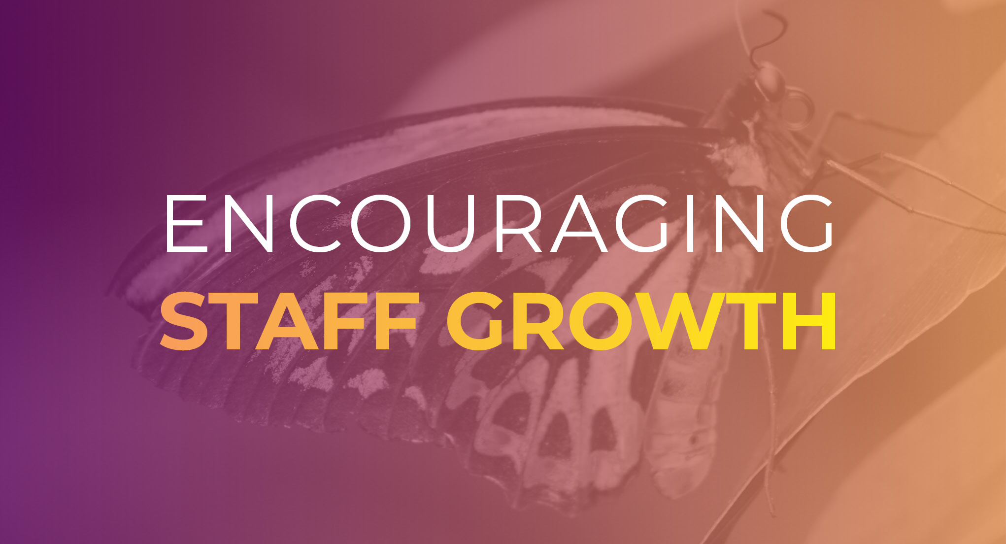 Encouraging Staff Growth - Caz Recovery