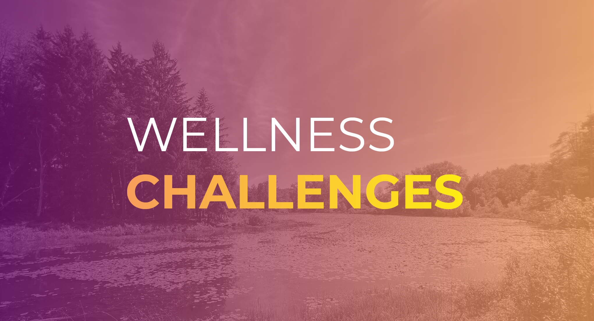 Wellness Challenges - Caz Recovery